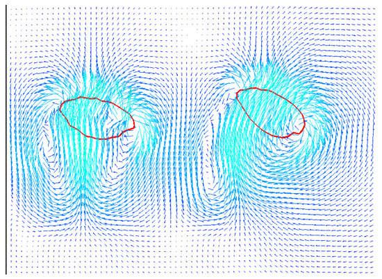 Numerical Study on the Rising Motion of Bubbles near the Wall
