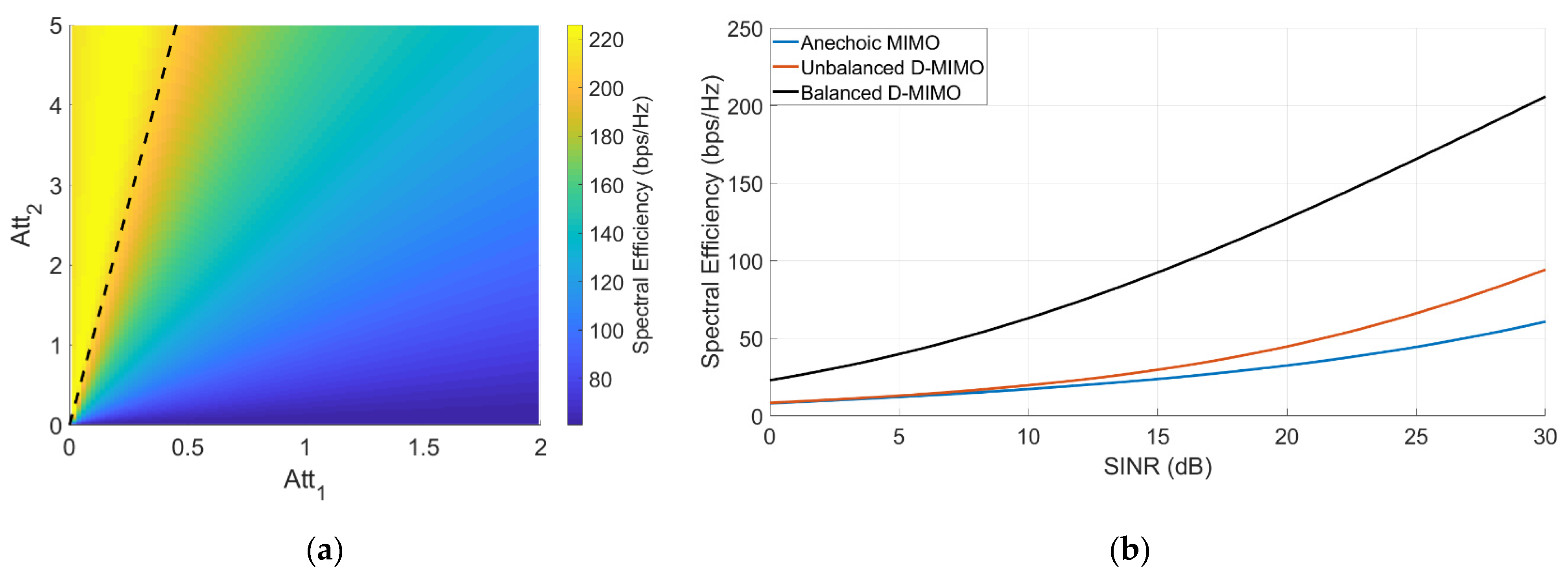 On the Spectral Efficiency for Distributed Massive MIMO Systems