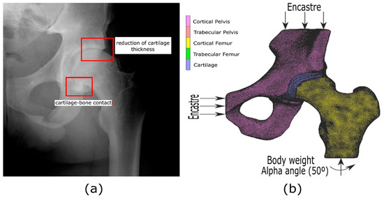 Applied Sciences | Free Full-Text | Comparative Analysis of Healthy and ...