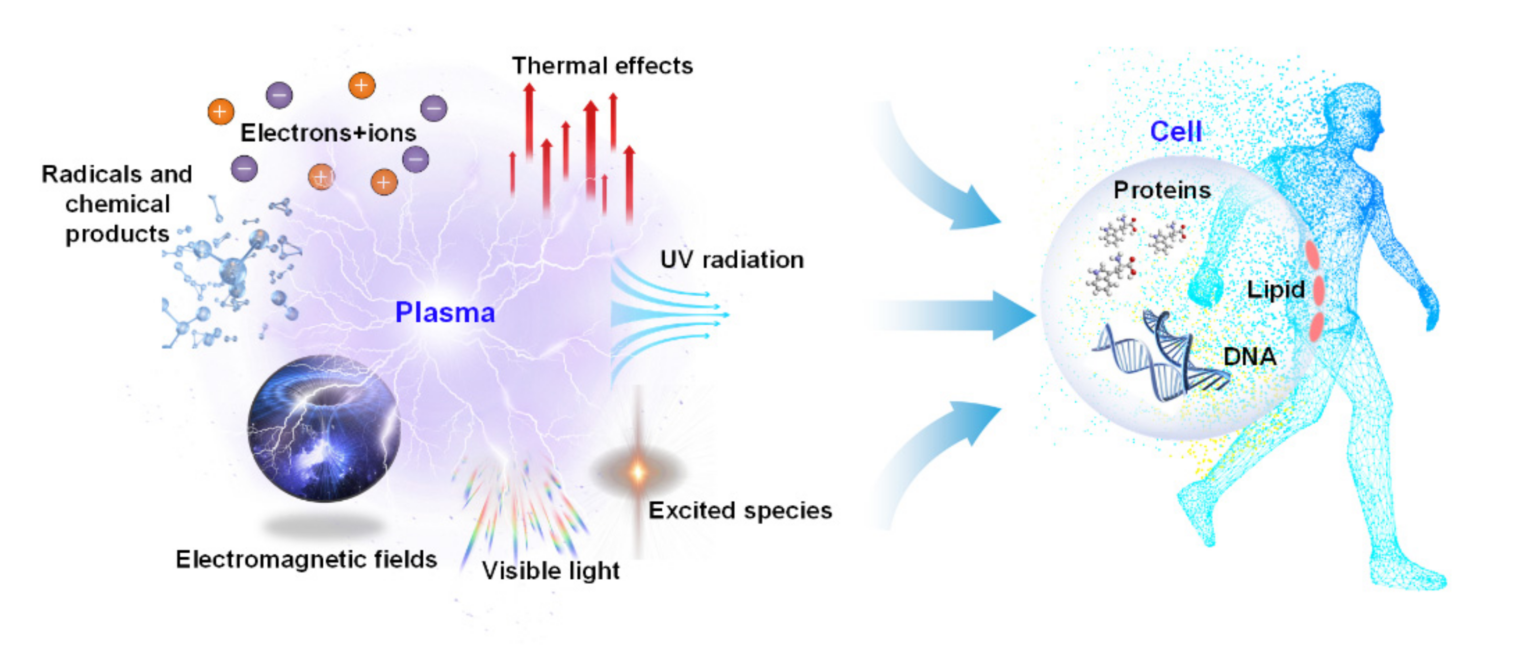 A Novel Method for Estimating the Dosage of Cold Atmospheric Plasmas in ...