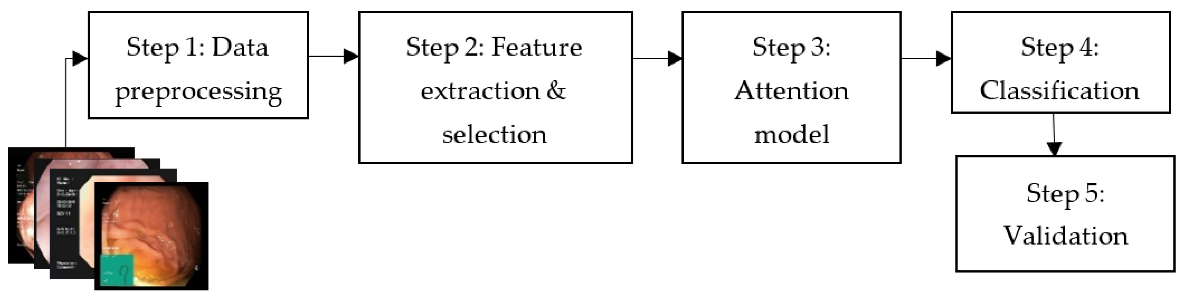 Gastrointestinal Disease Classification in Endoscopic Images Using ...