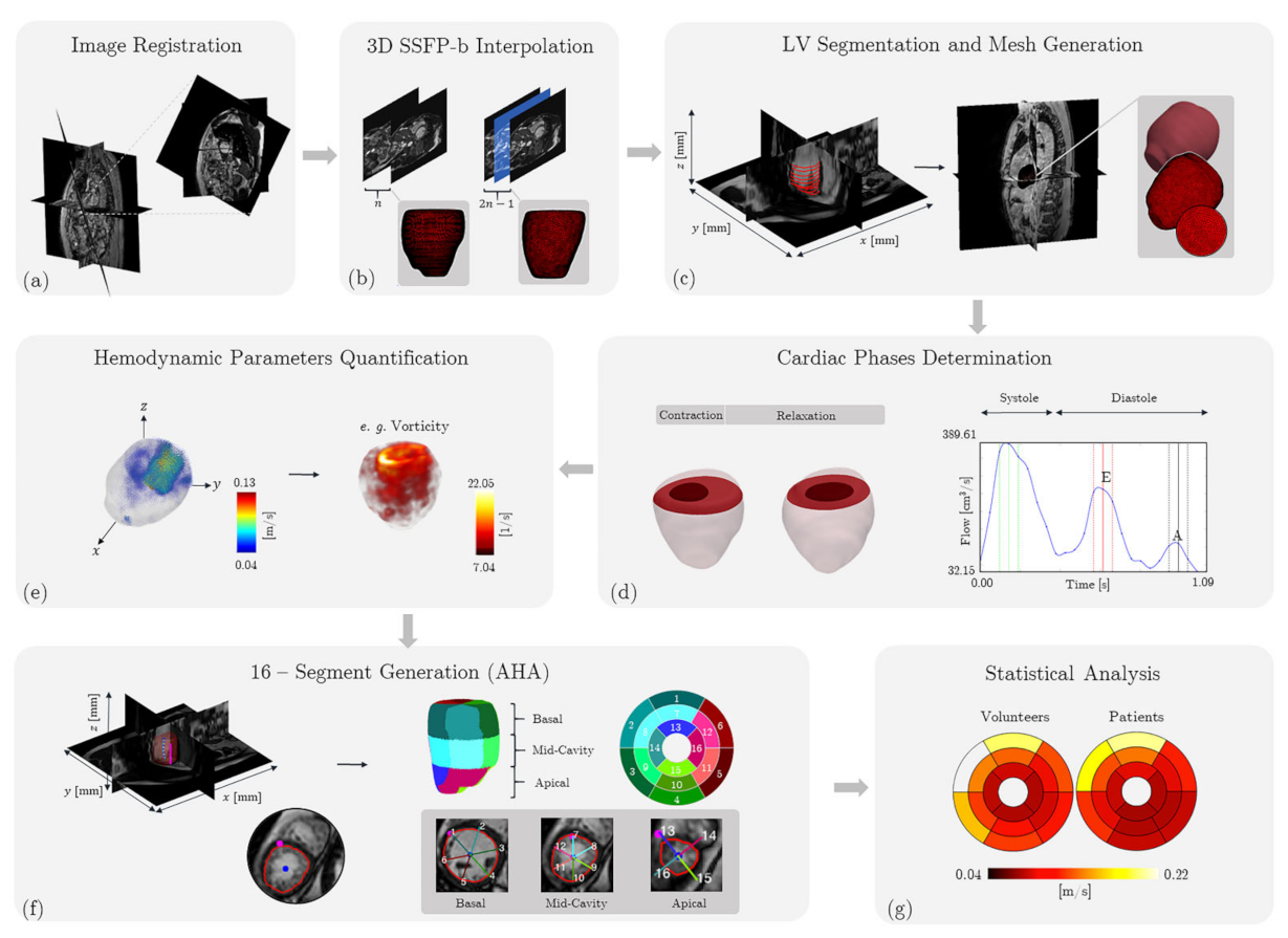 Comprehensive Assessment of Left Intraventricular Hemodynamics Using a ...