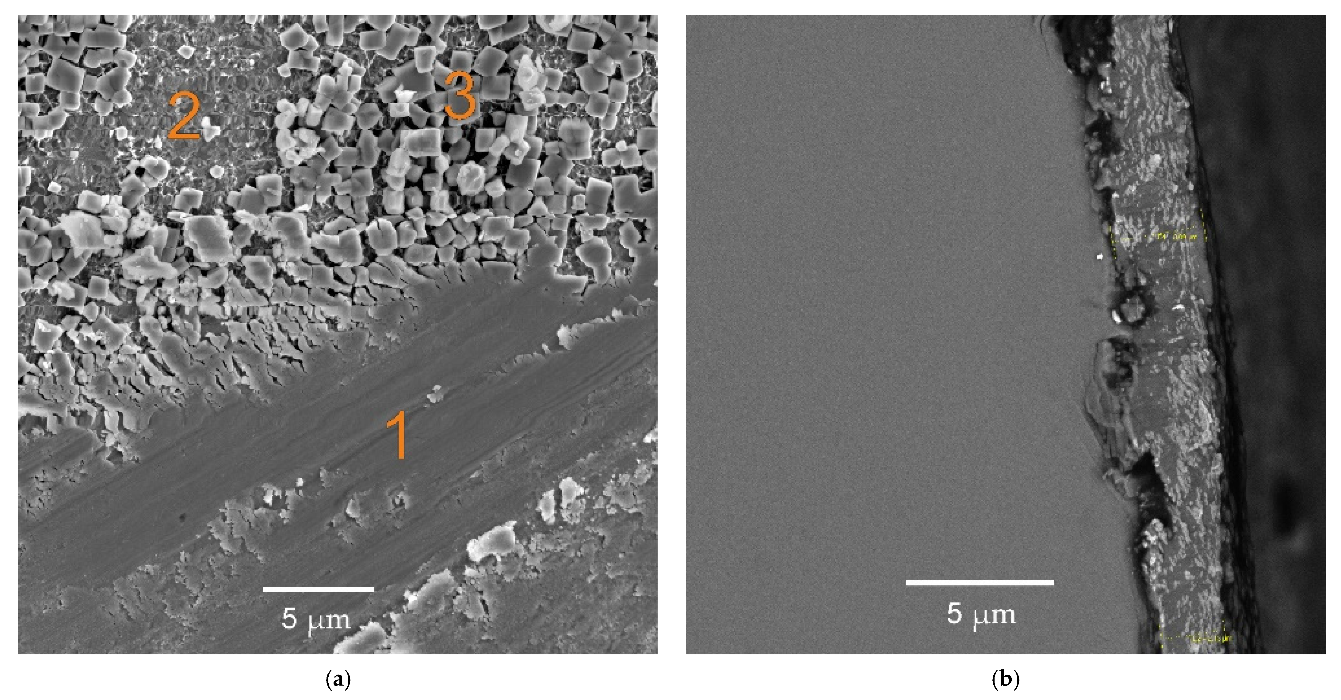 Perspective Compounds for Immobilization of Spent Electrolyte from ...