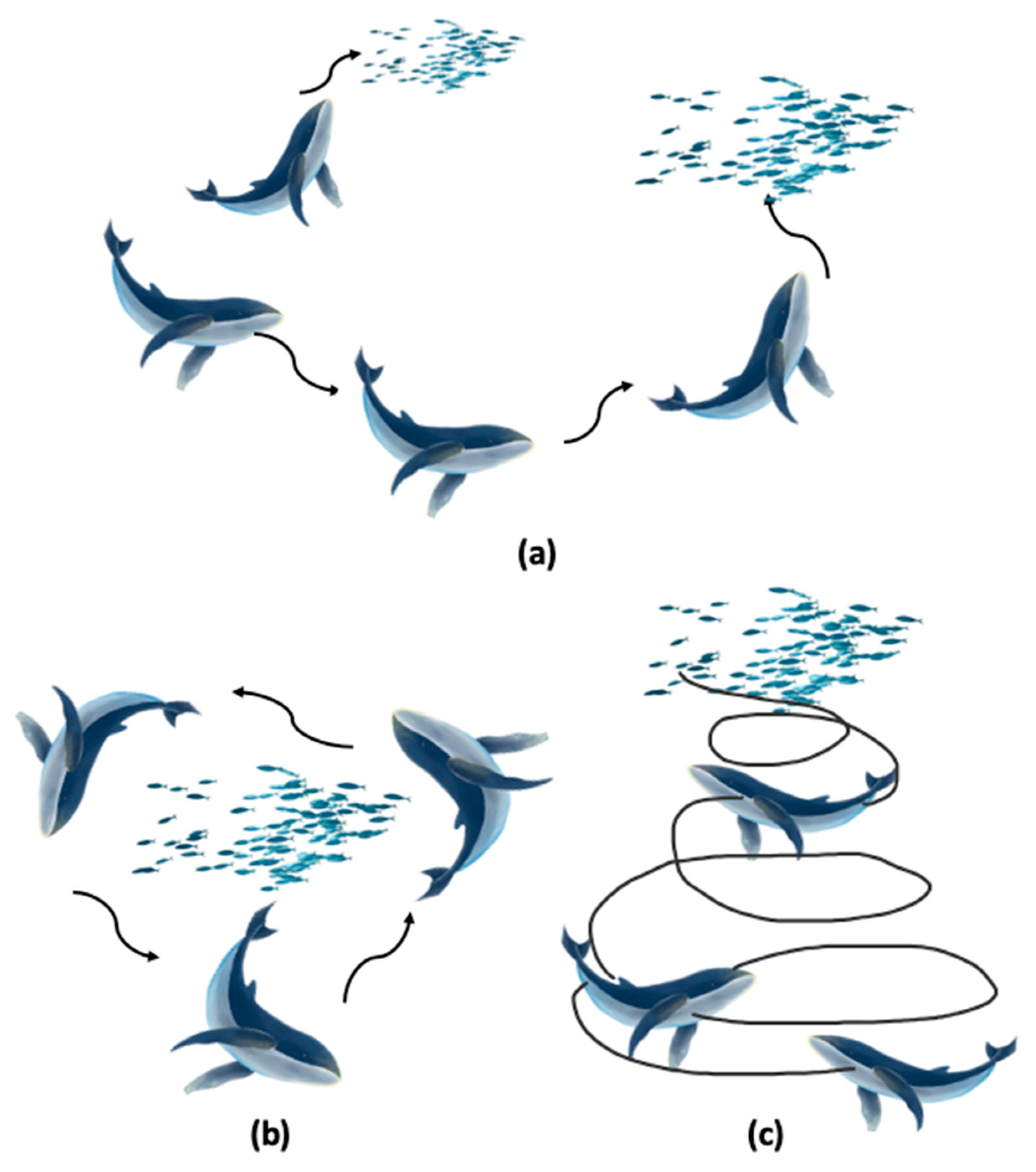 Research on Alarm Reduction of Intrusion Detection System Based on Clustering and Whale ...