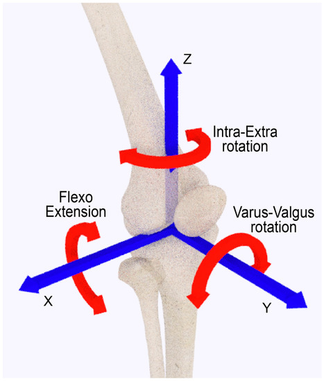 Roughness Digital Characterization and Influence on Wear of Retrieved ...