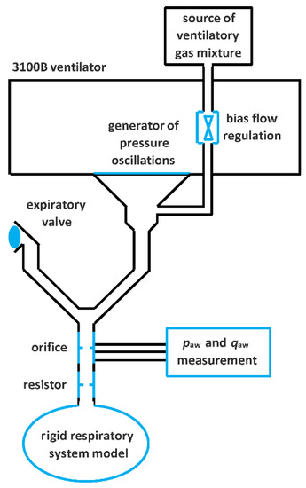 scrittore editore maglione bias flow ventilator Leone Combattente Scala