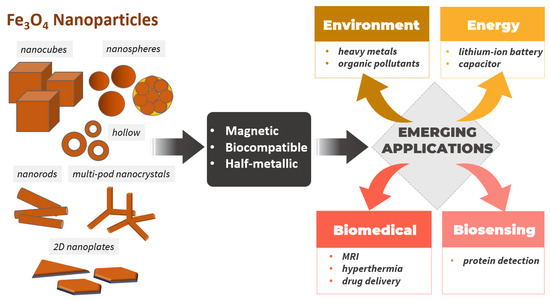 Fe3O4 Nanoparticles: Structures, Synthesis, Magnetic Properties ...