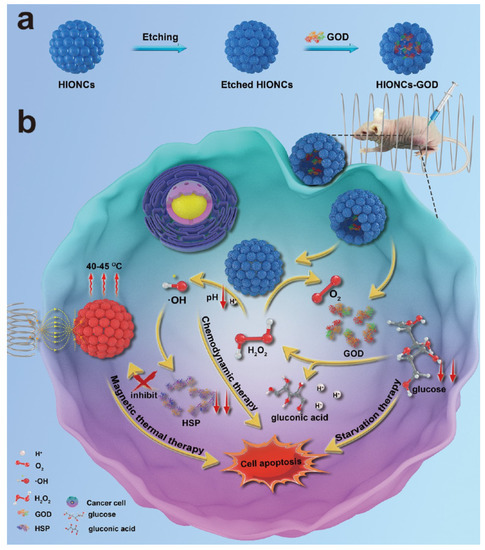 Applied Sciences | Free Full-Text | Fe3O4 Nanoparticles: Structures ...
