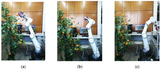 Applied Sciences | Free Full-Text | Collision-Free Motion Planning of a Six-Link Manipulator ...