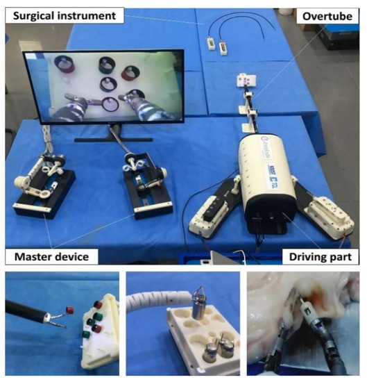 Robotics in Gastrointestinal Endoscopy