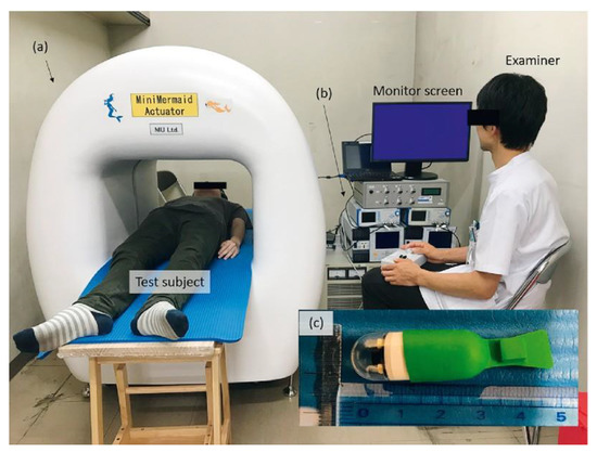 Robotics in Gastrointestinal Endoscopy
