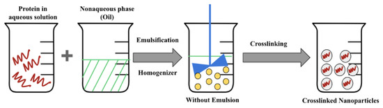 Collagen Nanoparticles in Drug Delivery Systems and Tissue Engineering