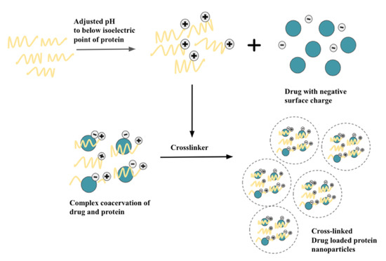 Collagen Nanoparticles in Drug Delivery Systems and Tissue Engineering