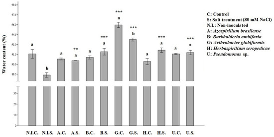 PGPB Improve Photosynthetic Activity and Tolerance to Oxidative Stress ...