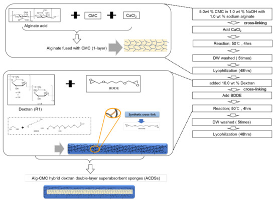 Manufacture and Characterization of Alginate-CMC-Dextran Hybrid Double ...