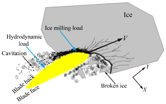 Experimental Study on the Influence of Water and Cavitation on ...