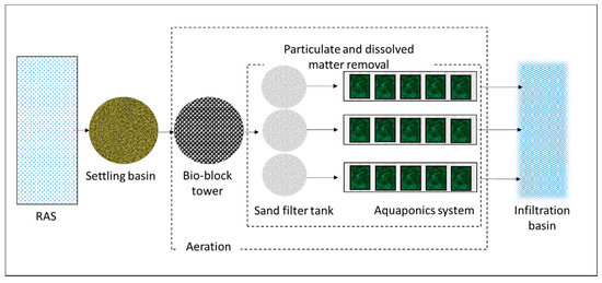 Halophyte Plants Cultured in Aquaponics Hold the Same Potential for ...