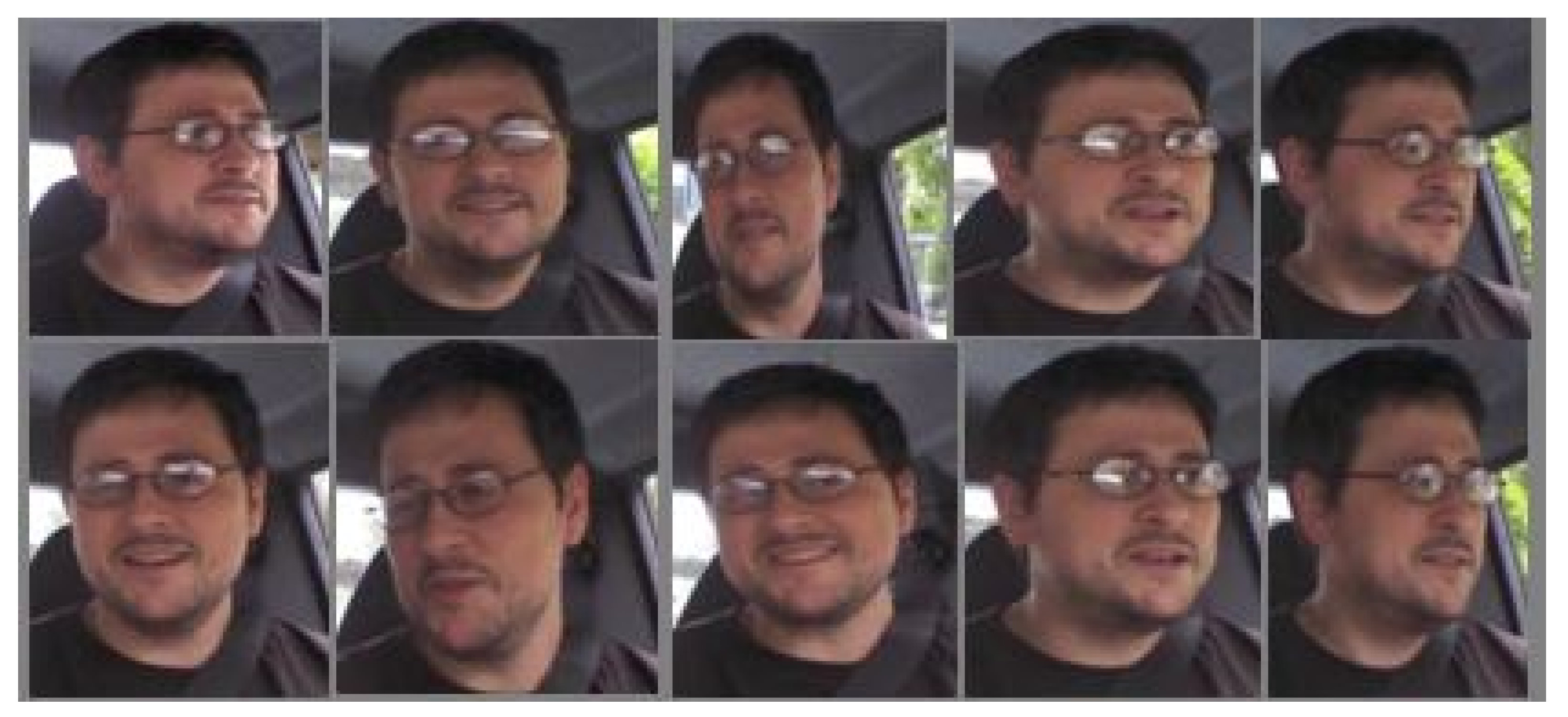 Pose Estimation of Driver’s Head Panning Based on Interpolation and ...