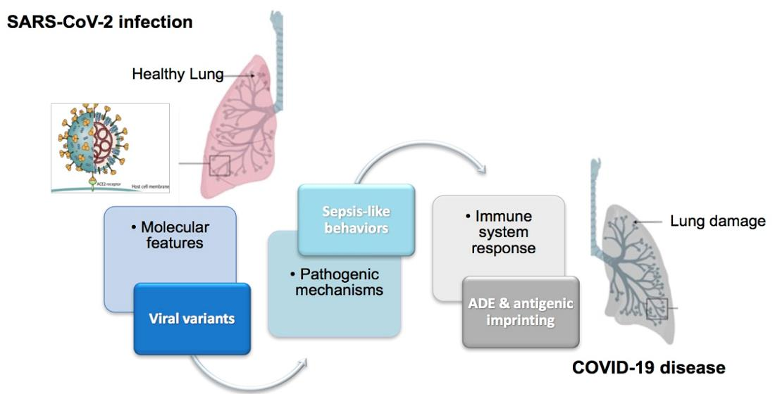 Applied Sciences | Free Full-Text | SARS-CoV-2: Some Aspects of ...