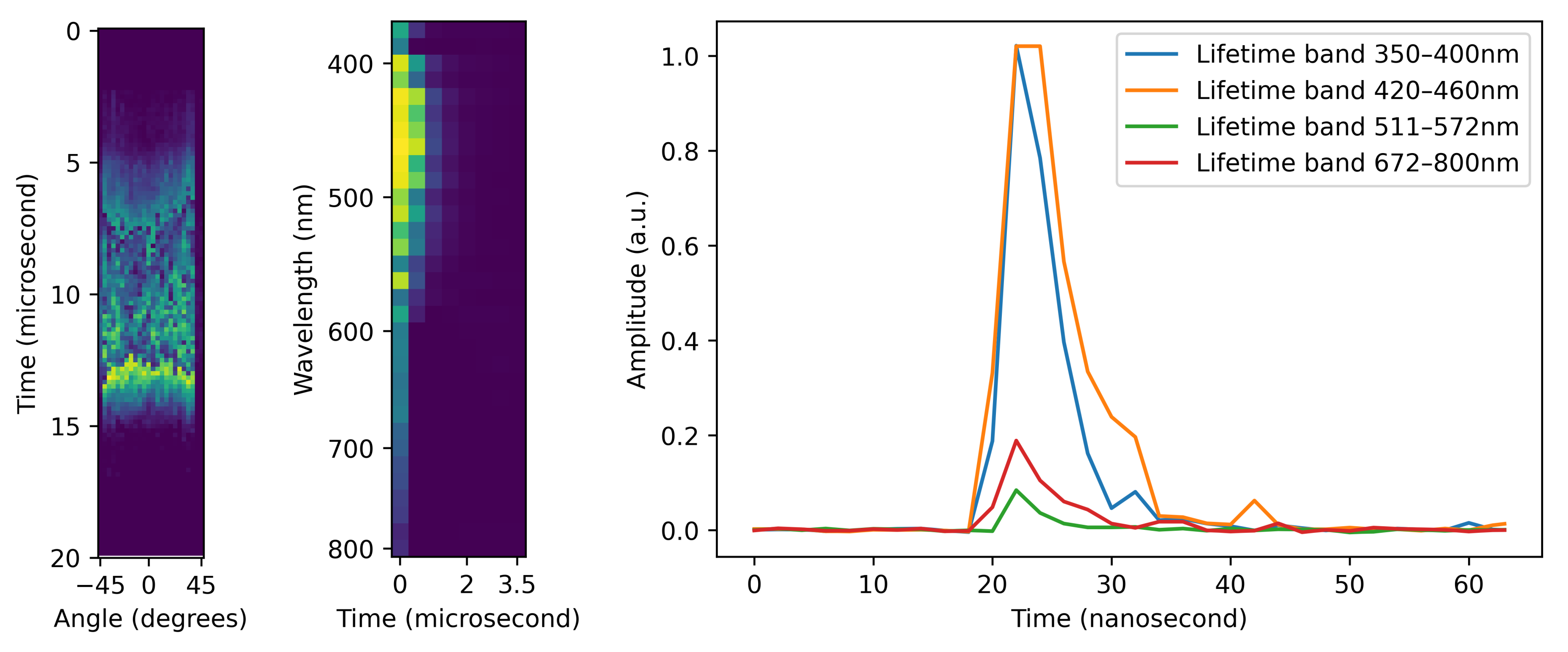 Multi-Input Convolutional Neural Networks for Automatic Pollen Classification