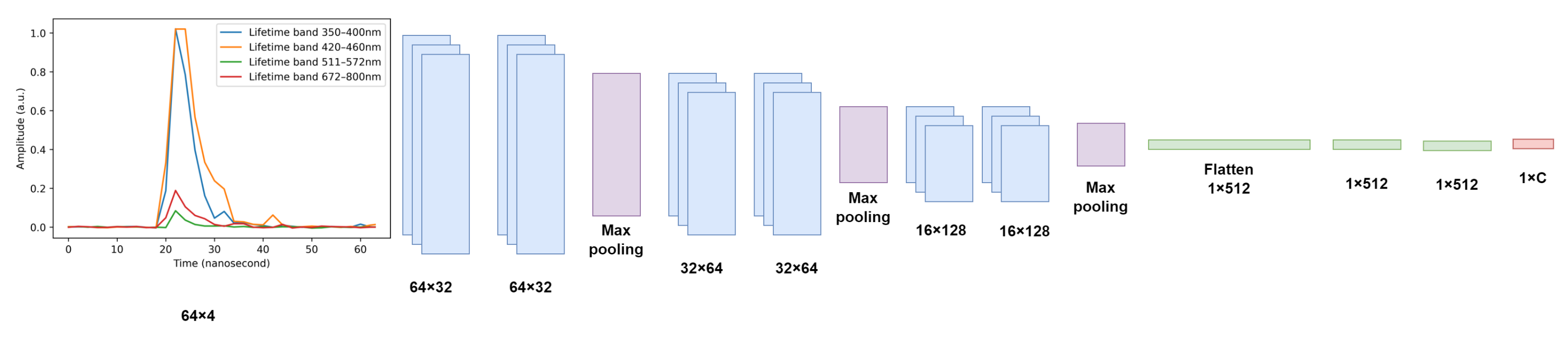 Multi-Input Convolutional Neural Networks for Automatic Pollen Classification