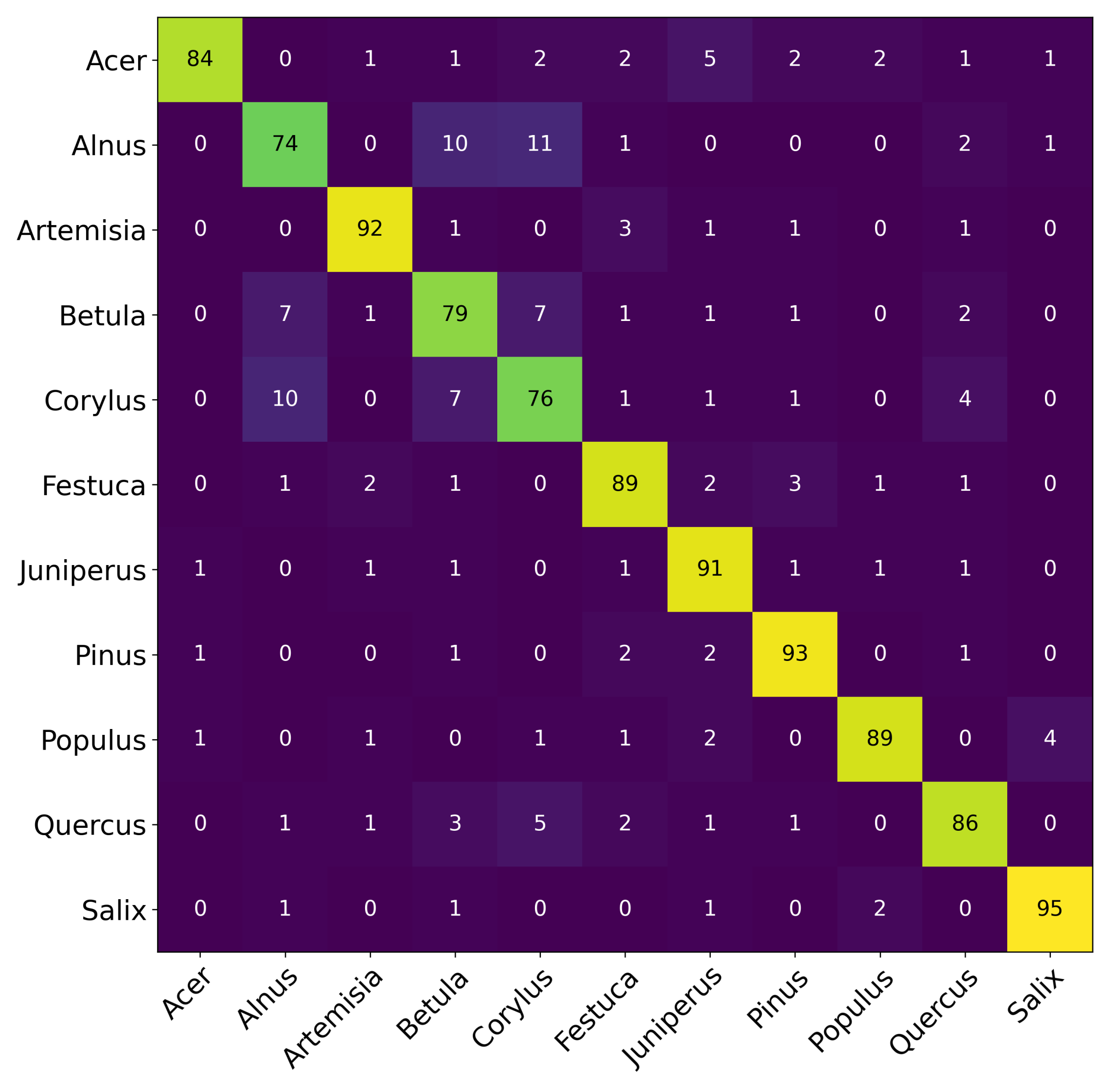 Multi-Input Convolutional Neural Networks for Automatic Pollen Classification