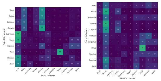Multi-Input Convolutional Neural Networks for Automatic Pollen Classification