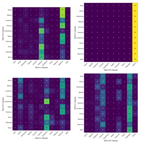 Multi-Input Convolutional Neural Networks for Automatic Pollen Classification