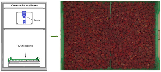 Disease and Defect Detection System for Raspberries Based on ...