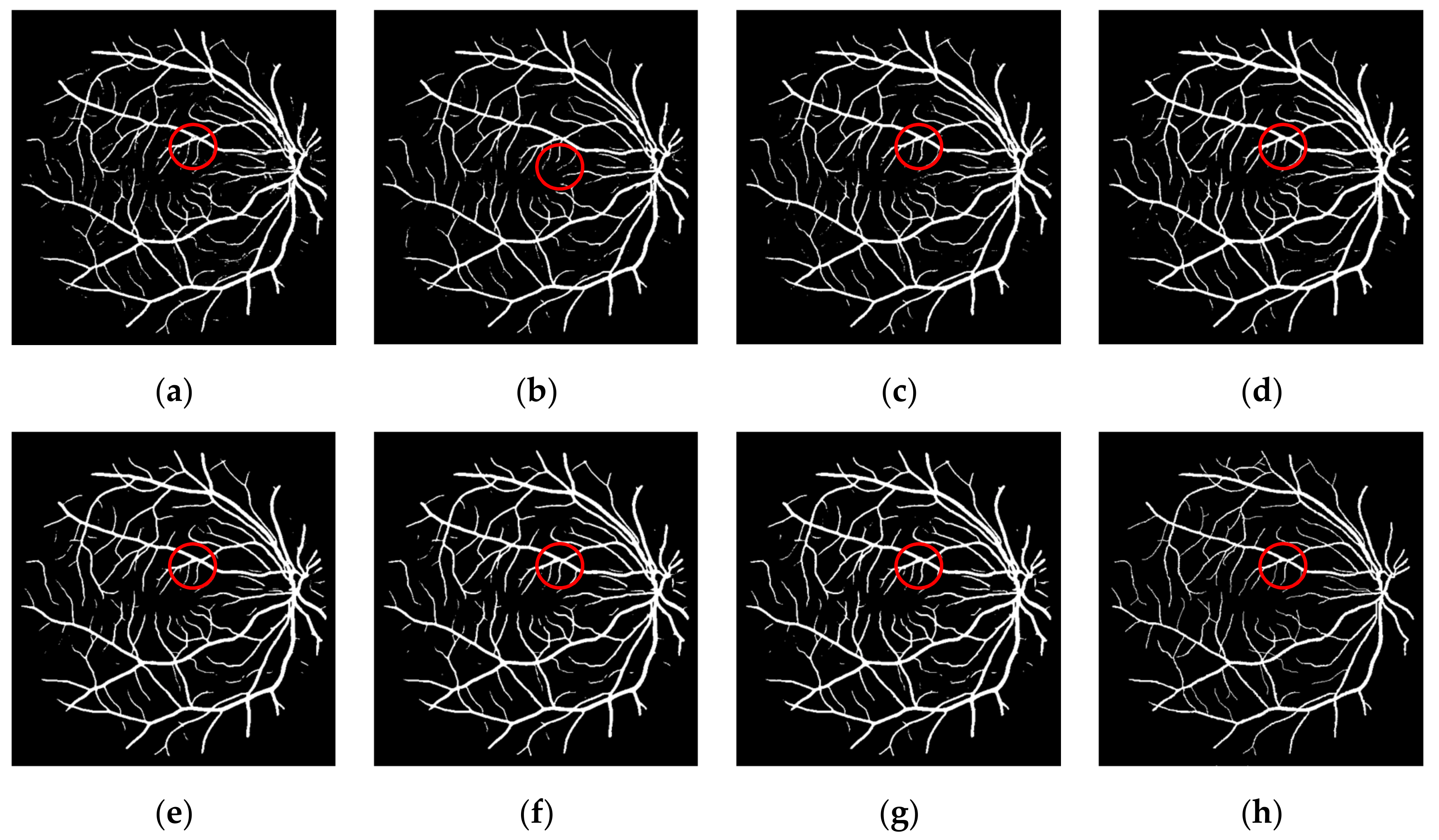 Multiple Multi-Scale Neural Networks Knowledge Transfer and Integration for Accurate Pixel-Level ...