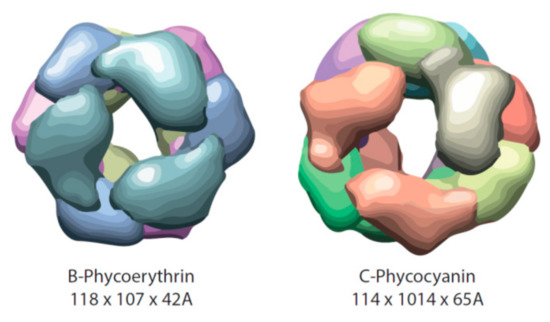Using Laminar Nanoclays for Phycocyanin and Phycoerythrin Stabilization ...
