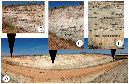 Applied Sciences | Free Full-Text | Structure and Mechanical Properties ...