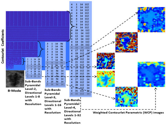 Applied Sciences | Free Full-Text | RiIG Modeled WCP Image-Based CNN Architecture and Feature ...