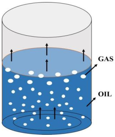 Development of an Online Detection Setup for Dissolved Gas in ...