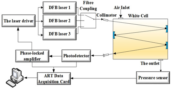 Development of an Online Detection Setup for Dissolved Gas in ...