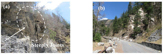 Effects of Three-Directional Seismic Wave on Dynamic Response and ...