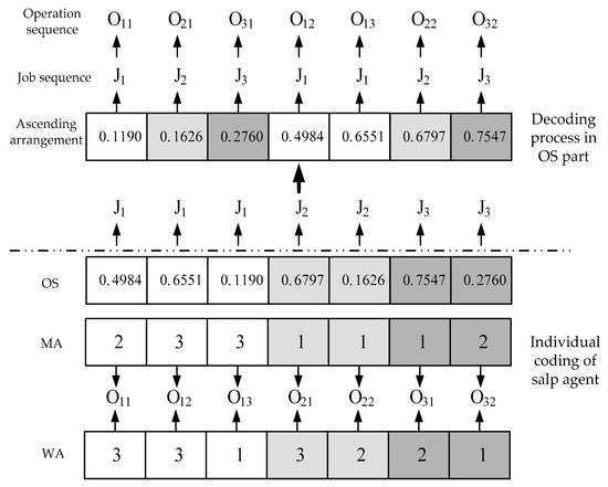 Hybrid Salp Swarm Algorithm for Solving the Green Scheduling Problem in a Double-Flexible Job Shop