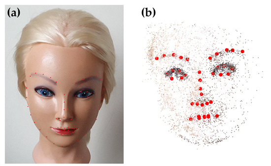 Three-Dimensional Human Head Reconstruction Using Smartphone-Based ...