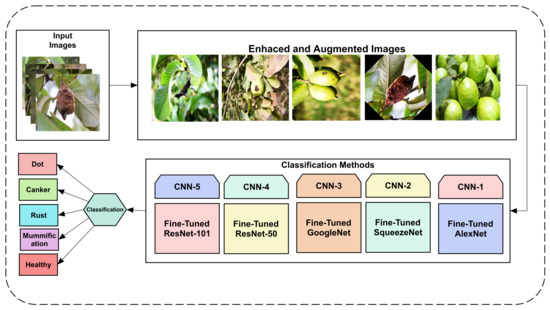 Guava Disease Detection Using Deep Convolutional Neural Networks: A Case Study of Guava Plants