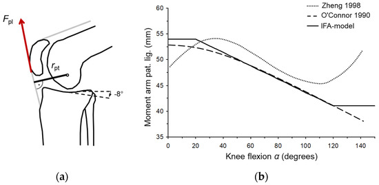 Applied Sciences | Free Full-Text | Estimation of Tibiofemoral and ...
