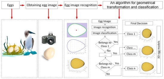 Applied Sciences | Free Full-Text | An Algorithm for Obtaining 3D Egg ...