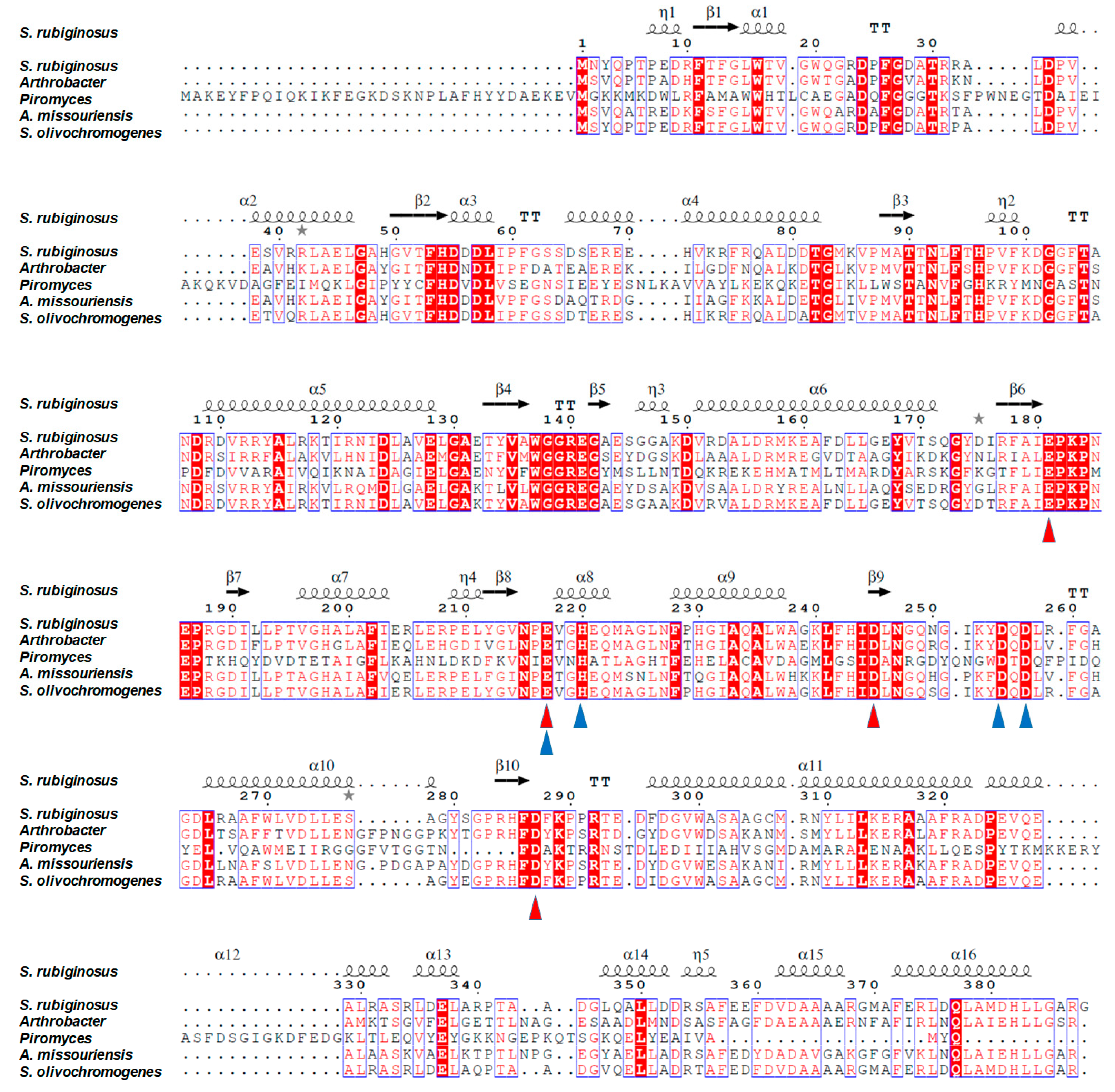 Applied Sciences | Free Full-Text | Glucose Isomerase: Functions, Structures, and Applications