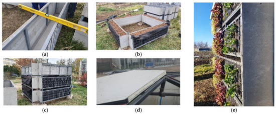 Study on Behavior of Some Perennial Flowering Species Used in Vertical ...