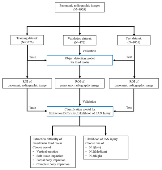 Applied Sciences | Free Full-Text | Automated Prediction of Extraction Difficulty and Inferior ...
