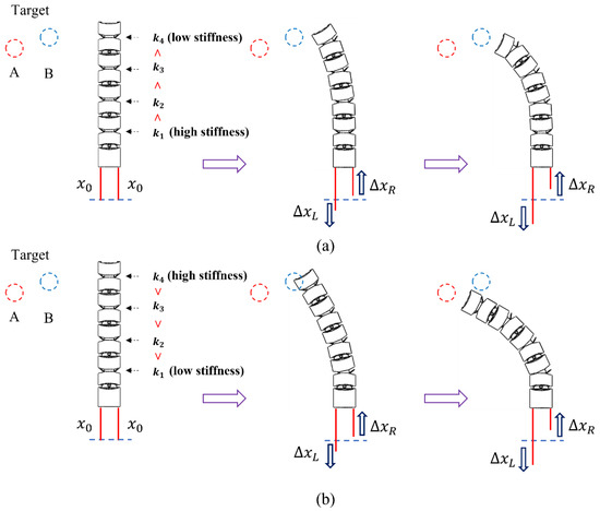 Hyper-Redundant Manipulator Capable of Adjusting Its Non-Uniform Curvature with Discrete ...