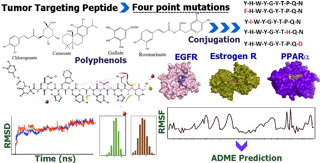 Applied Sciences | Free Full-Text | In Silico Studies of Tumor Targeted ...