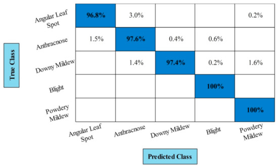Applied Sciences | Free Full-Text | Cucumber Leaf Diseases Recognition ...