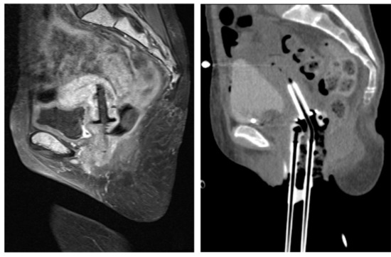 Applied Sciences | Special Issue : Clinical Applications of Magnetic ...