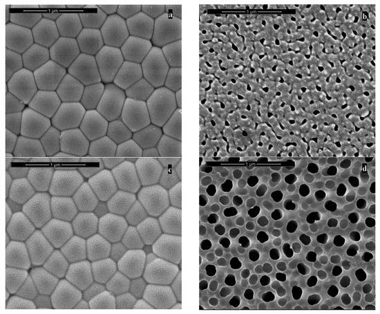 Anodic Alumina Membranes: From Electrochemical Growth to Use as ...
