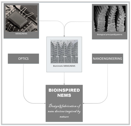Bioinspired NEMS—Prospective of Collaboration with Nature